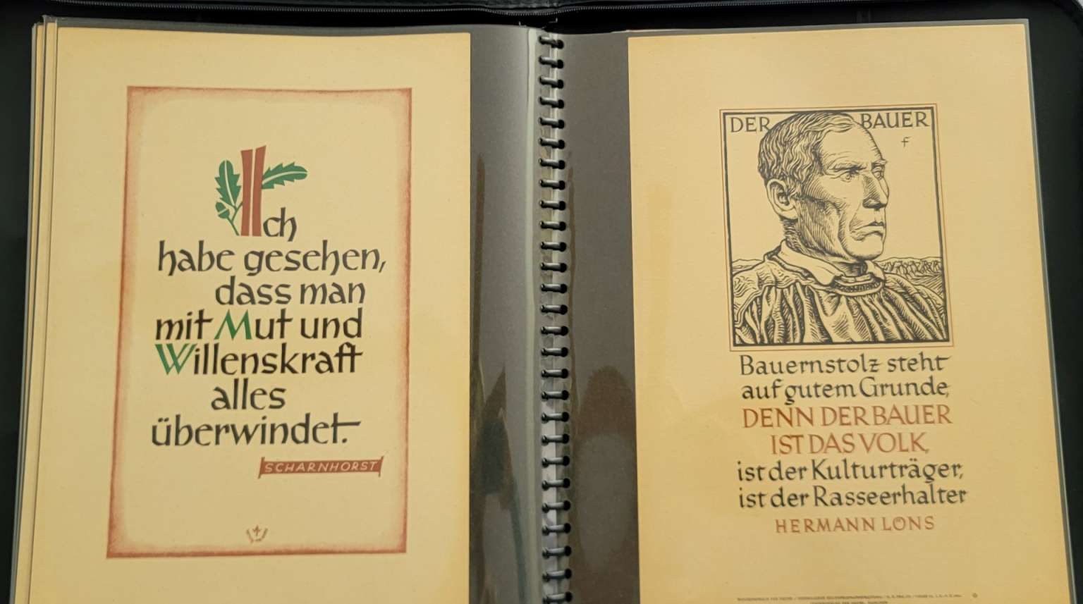 Original WWII German Propaganda Poster Collection Wochenspruch der ...